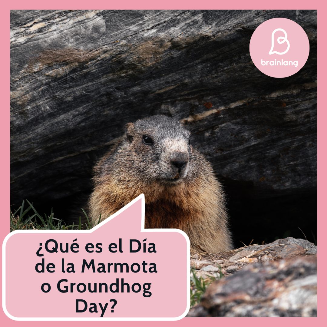 ¿Qué es el Día de la Marmota o Groundhog Day??
